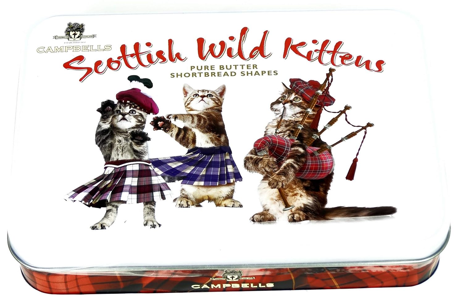 Campbell's Shortbread Scottish Wild Kittens Tin 150 G: Amazon.com ...