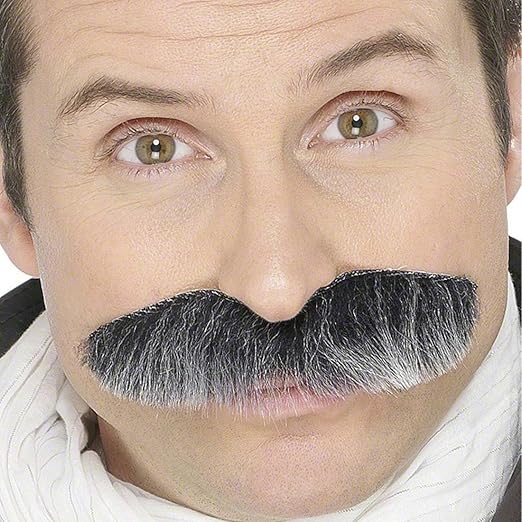 NET TOYS Grosse moustache grise - Moustache géante - Moustache poivre ...