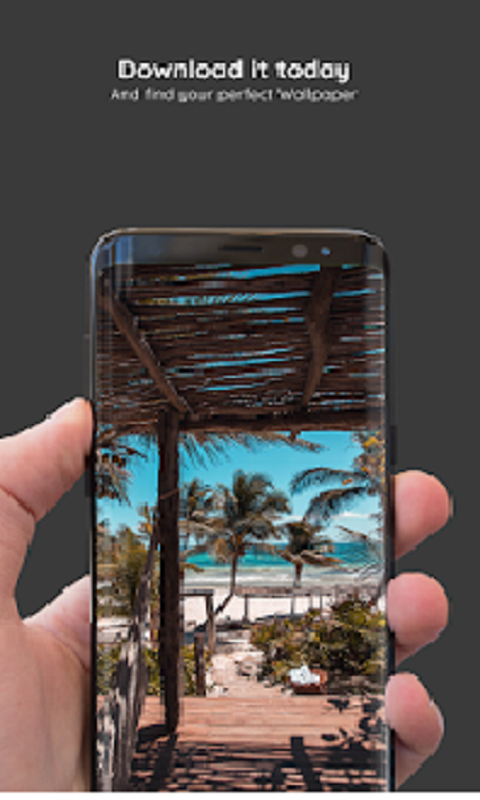 Amazon.com: Pixel 3 Wallpapers 4K Pro Backgrounds : Apps & Games