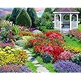 Amazon.com: Springbok Flower Garden 500 Piece Puzzle for Adults ...