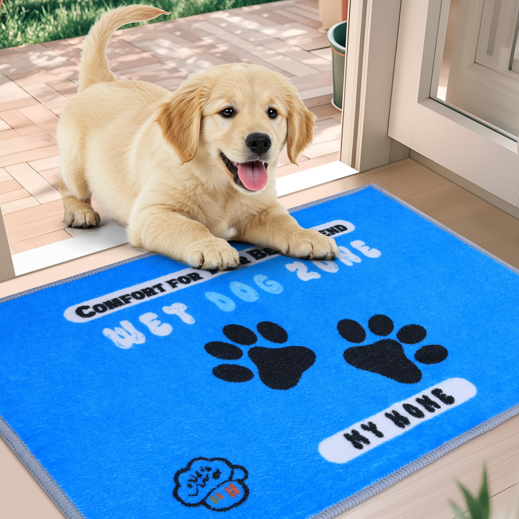 NUOVARUGS Ultra Absorbent Dog Door Mat, Chenille Pet Mat, Non-Slip ...