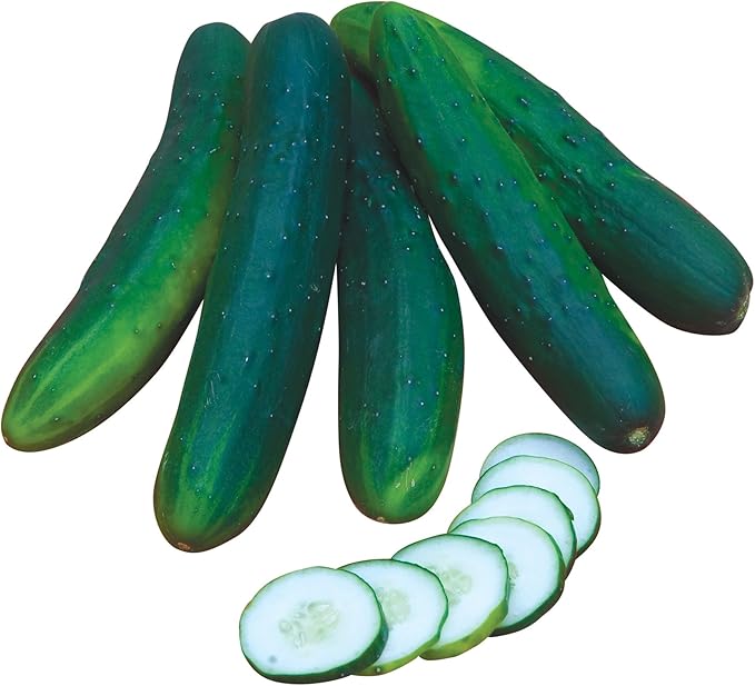 Amazon.com: Burpee Sweet Burpless Slicing Cucumber Seeds 70 seeds ...