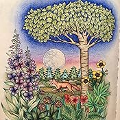 Nightfall Coloring Book: Originally Published in Sweden as ...