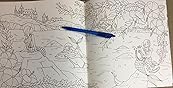 Amazon.com: Romantic Country: The Third Tale: A Fantasy Coloring Book ...