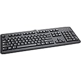HP USB Slim Business Keyboard: Amazon.ca: Computers & Tablets