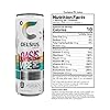 CELSIUS OASIS VIBE Sparkling Prickly Pear Lime, Sugar Free Energy Drink ...