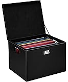 Amazon.com : File Box - Wicker w/ file rods & lid - Letter size ...