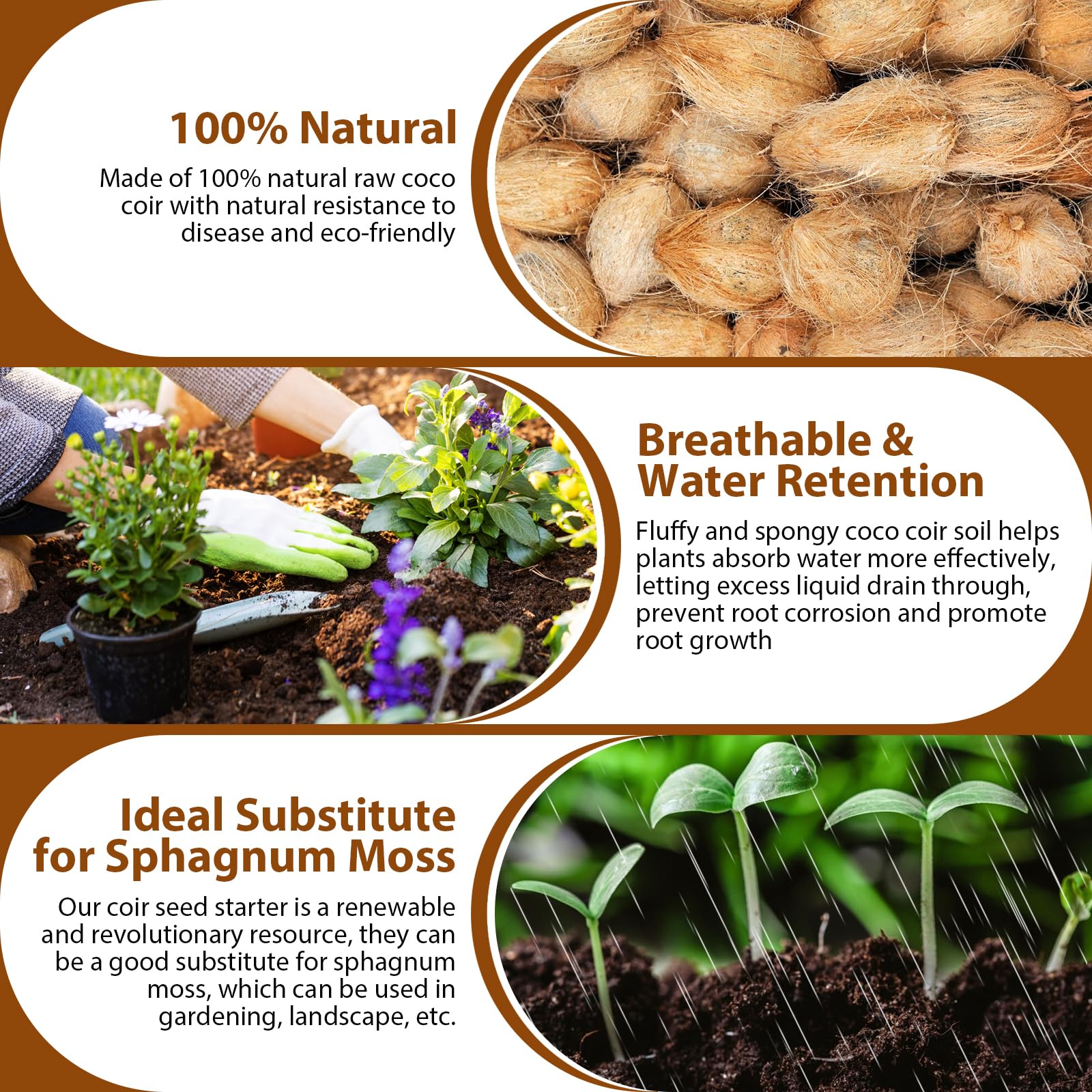 Mua Legigo Pack of 10 Organic Coco Coir Bricks- 100% Natural Compressed ...