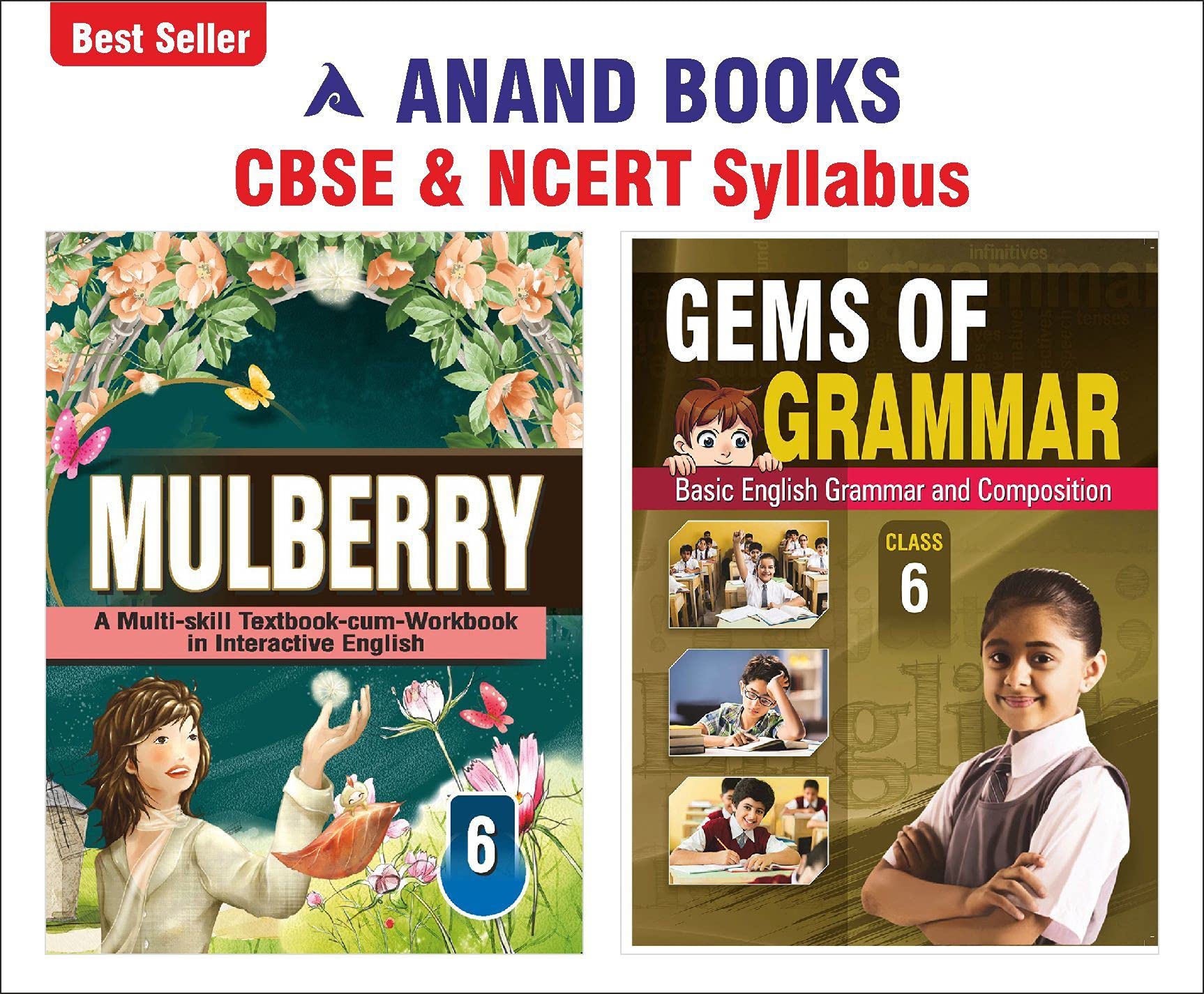 Anand Books Mulberry Gems Of Grammar 6 English Coursebook With anand-books-mulberry-gems-of-grammar-6-english-coursebook-with