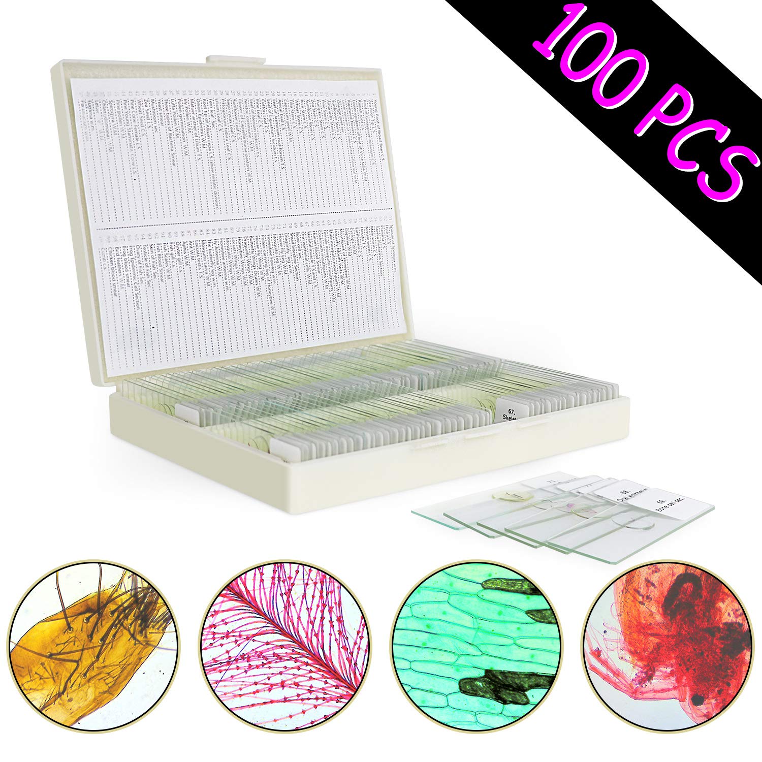 100 Piezas Portaobjetos de Microscopio Preparados con Muestras ...