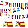 Amazon.com: AuTop 2 Set 21 Countries Spanish Speaking Flags Banner ...