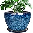 Amazon.com : Ceramicfor 10 Inch Ceramic Planter Pot, Ceramic Plant Pot ...