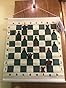 Amazon.com: 28" Slotted-Style Vinyl Demo Chess Set with Deluxe Carrying ...