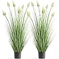 Amazon.com: FloraFairy 4ft 2-Pack Horsetail Reed Grass with White ...