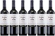 Casillero del Diablo Cabernet Sauvignon Wine 75 cl (Case of 6): Amazon ...
