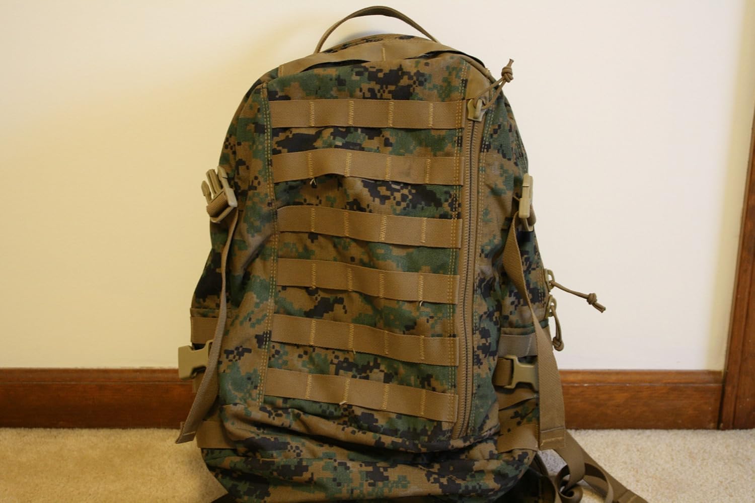 Amazon.com : Arc'teryx USMC ILBE Arcteryx Military MARPAT Assault ...