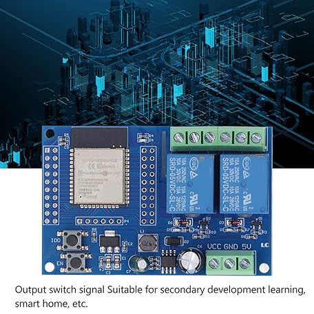Mua Relay Board, DC5-60V Power Supply Dual Relay Module Development ...