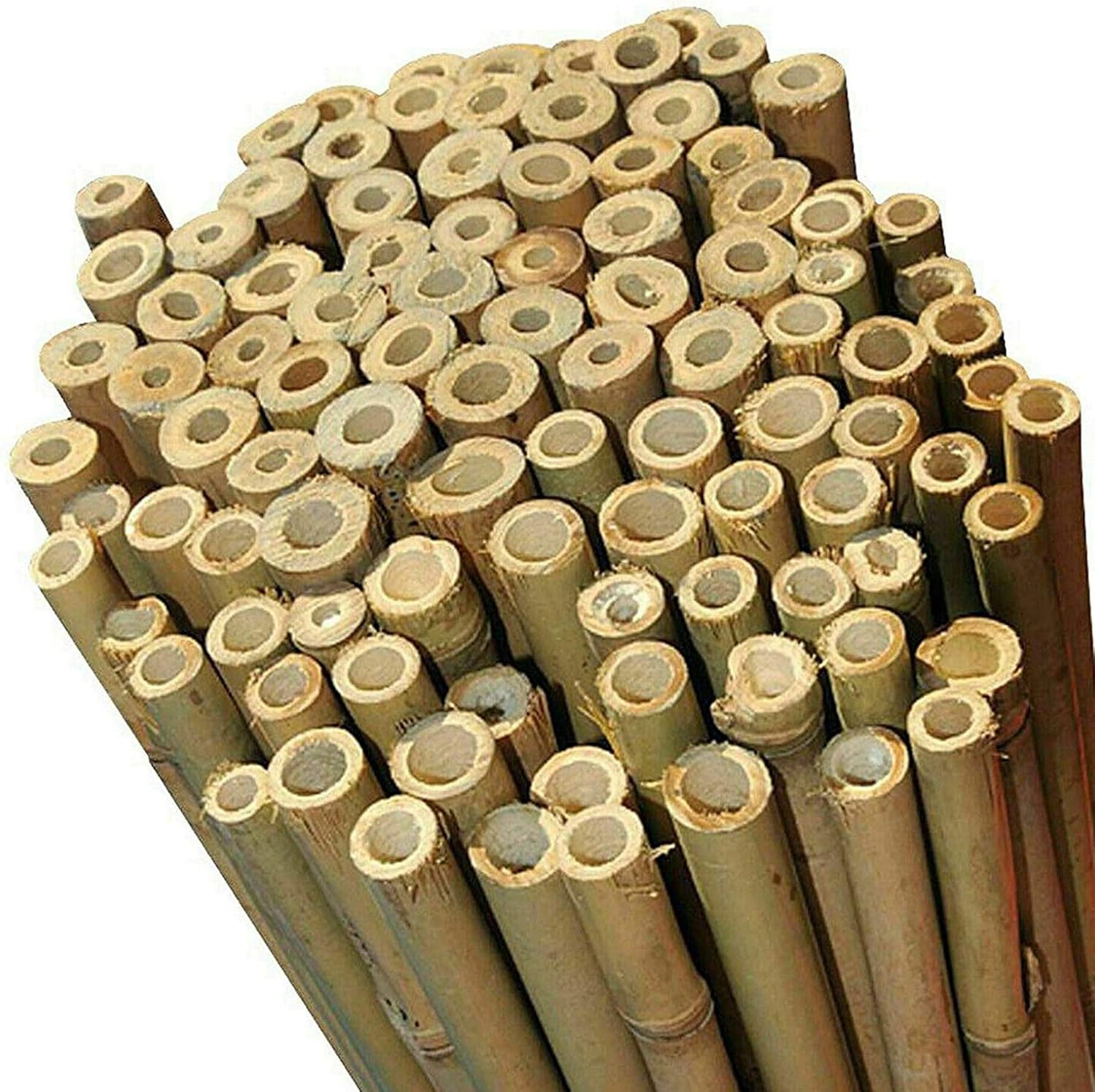 Homatz 2FT 3FT 4FT 5FT 6FT 7FT 8FT Bamboo Garden Canes Strong Thick ...