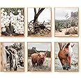 Amazon.com: Nature Western Highland Cow Wall Art Prints Set of 6 ...
