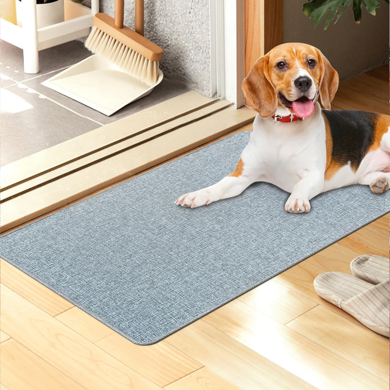 Yancorp Front Door Mat Thin Door Mat for Inside Entry 20"x 32" Non-Slip ...