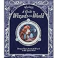 Wizardology: A Guide to Wizards of the World (Ologies): Merlin, Master ...