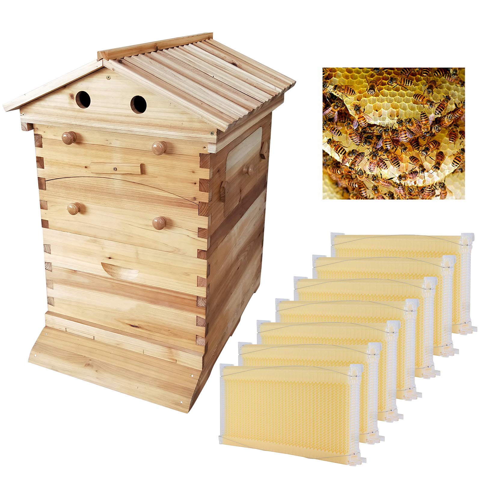 Buy Honey Hive Beehive Frames Kit+ Beekeeping Wooden House Beehive ...