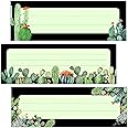 Amazon.com: Name Tags for Classroom Desks, Cactus Theme Students Name ...