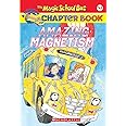 Amazing Magnetism (Magic School Bus Chapter Book #12): Carmi, Rebecca ...