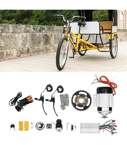 Trike Electric Conversion Kit AW Electric Bicycle Motor Kit 48V 1000W ...