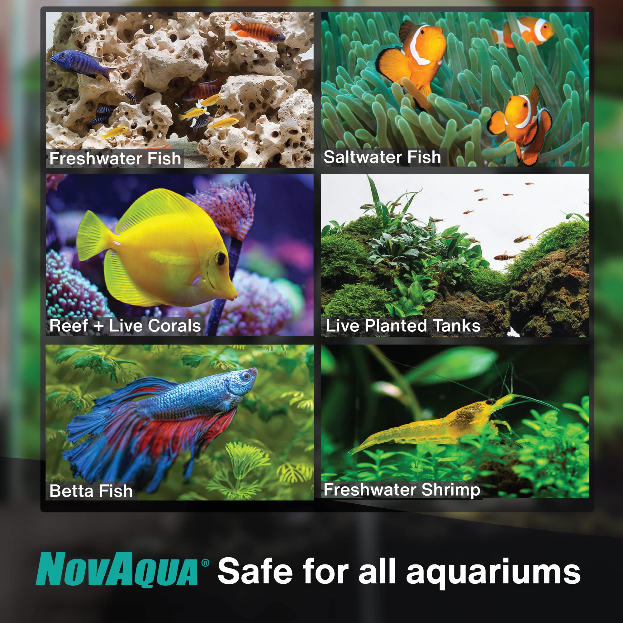 Mua #31175 NovAqua Water Conditioner for Aquarium, 5-Gallon trên Amazon ...