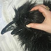 Folkmanis Puppets Raven Hand Puppet, Black, Hand Puppets - Amazon Canada