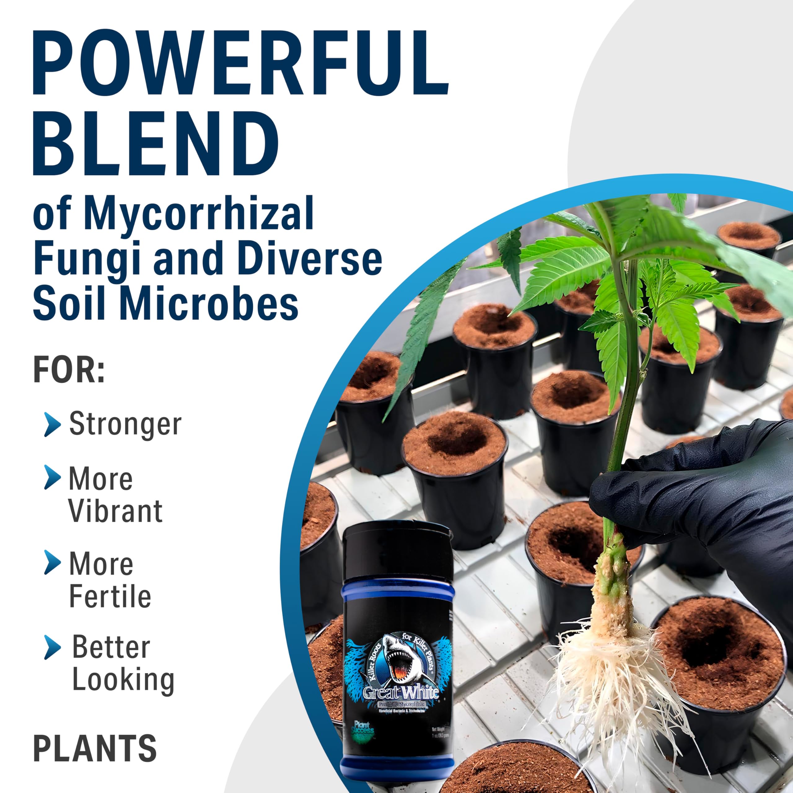 Mua Great White Mycorrhizal Fungi Root Enhancer by Plant Success ...