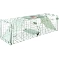 Amazon.com : Little Giant® Double Door Live Trap | Animal Traps ...