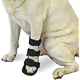 Amazon.com : Walkin' Pet Splint for Dogs | Front Leg Foot Splint for ...
