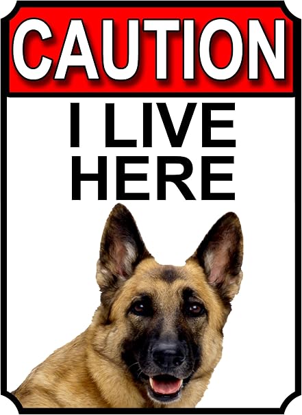 CAUTION I LIVE HERE METAL GATE SIGN GERMAN SHEPHERD THEME 200MM X 150MM ...