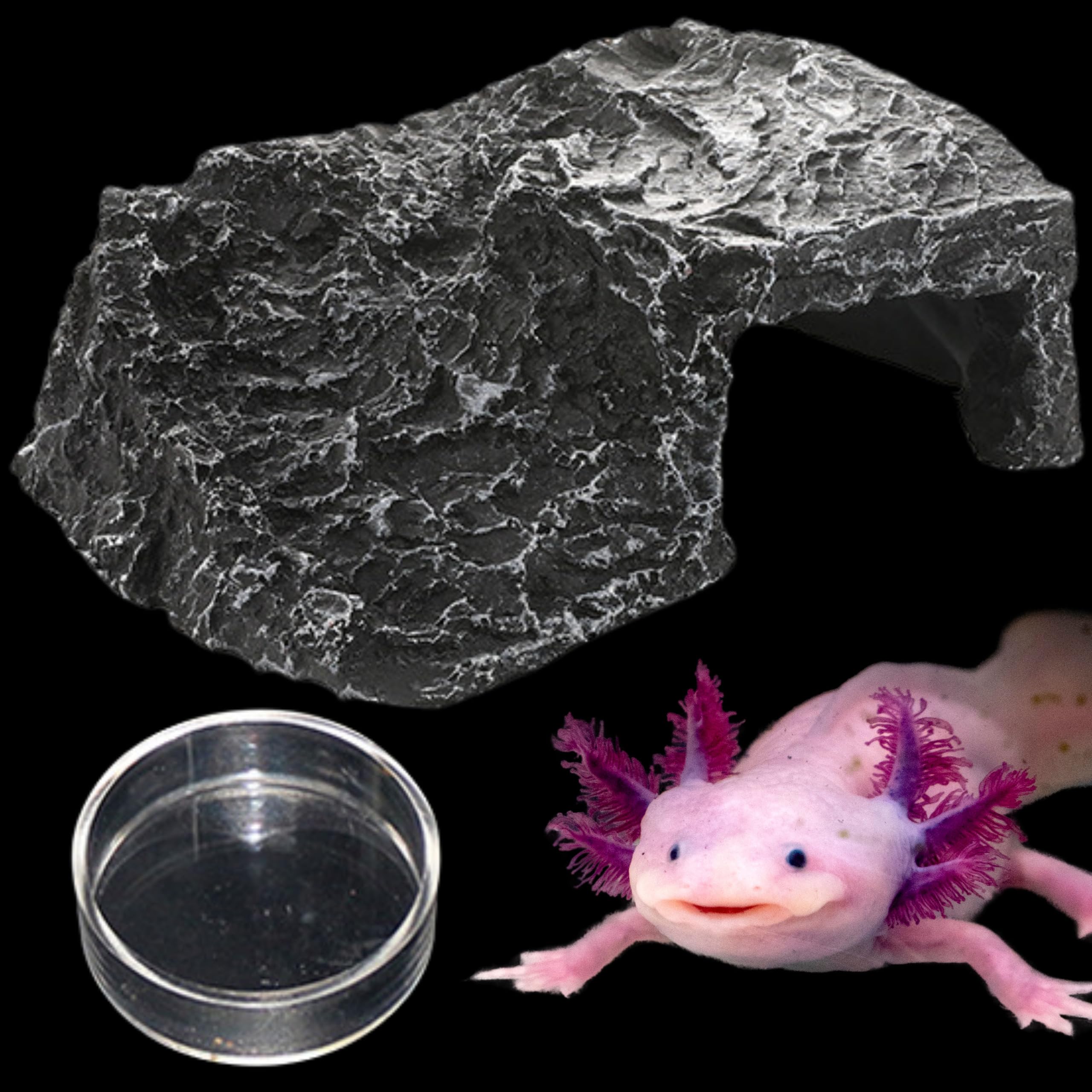 Axolotl Hide with Fish Feeding Dish Set, Axolotl Hideout for Aquariums ...