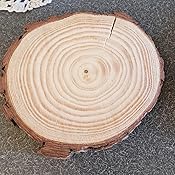 Amazon.com: 10pcs Wood Slices 4-4.7 inch Unfinished Natural with Tree ...