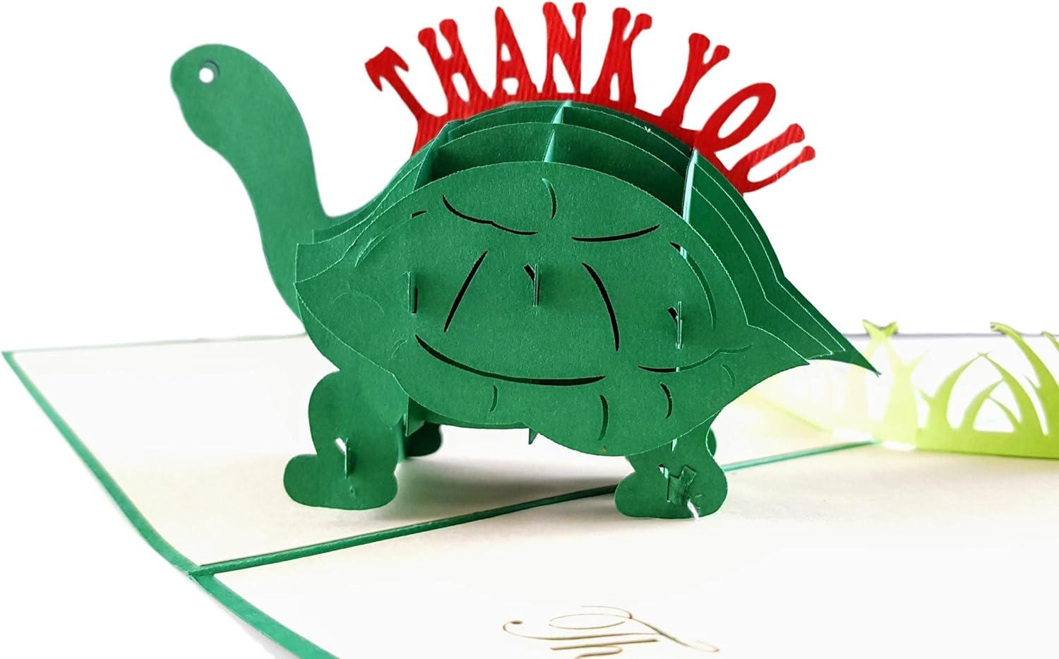 Amazon.com : iGifts And Cards Cute Turtle Thank You 3D Pop Up Greeting ...