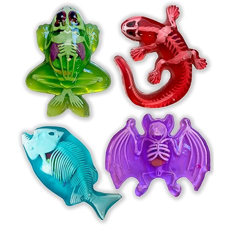 Mua Dissect-It Kit for Kids, Synthetic Dissection Kids Science Kit to ...