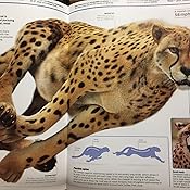 Animal!: DK, Smithsonian Institution: 9781465453358: Amazon.com: Books