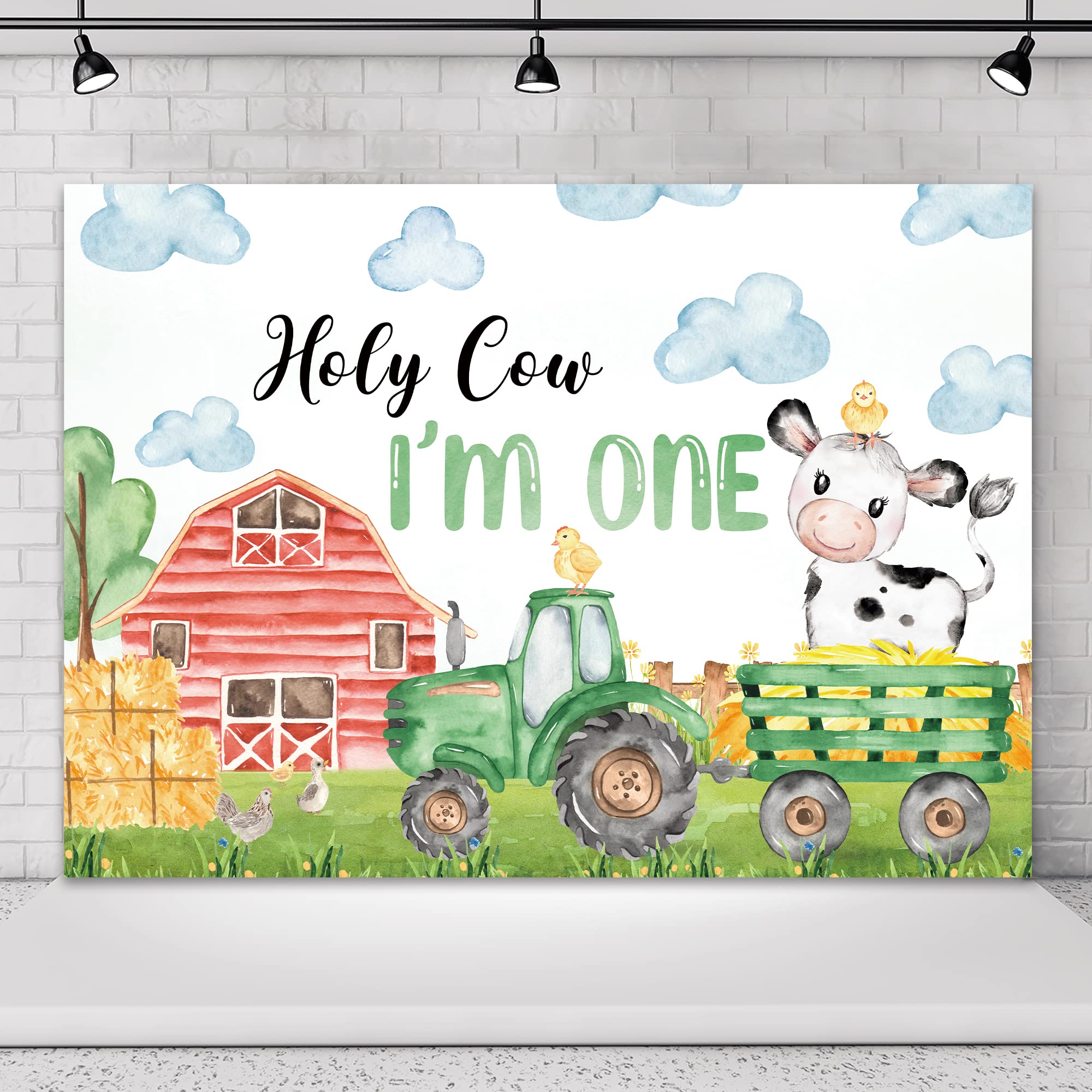 Omifly Holy Cow I'm One Birthday Backdrop for Kids 7x5ft Photography ...