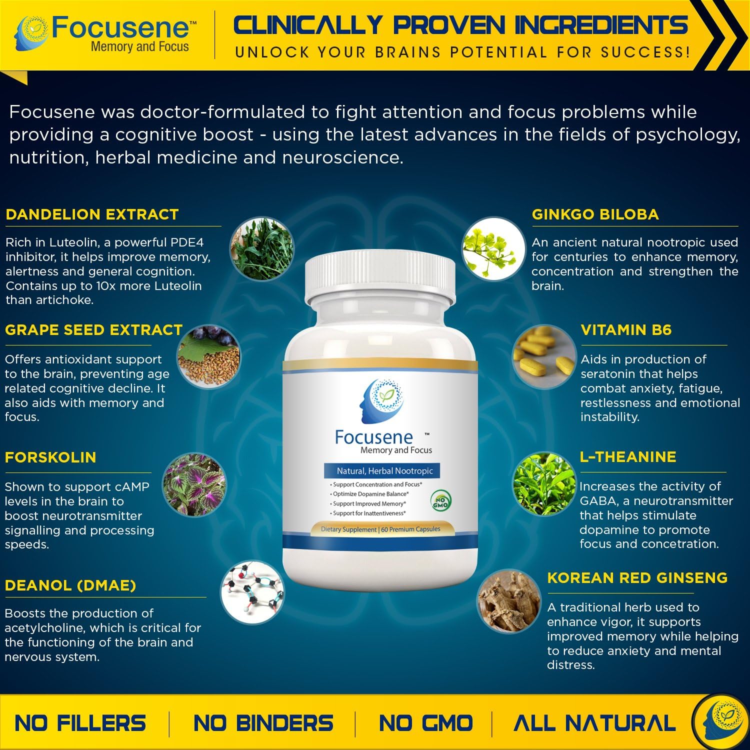 Mental Focus Supplement - Focusene. Caffeine-free brain support ...