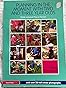 Planning in the Moment with Two and Three Year Olds: Child-initiated Play in Action: Amazon.co ...