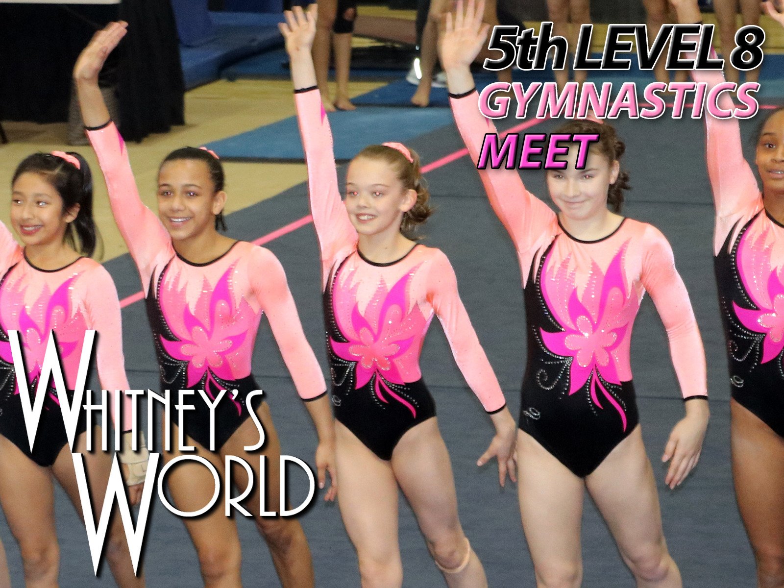 Amazon.de: Whitney Bjerken Gymnastics Level 8 Competitions [OV] ansehen ...