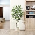 Amazon.com: Artificial Moringa Tree 5FT Tall Fake Plant Artificial ...