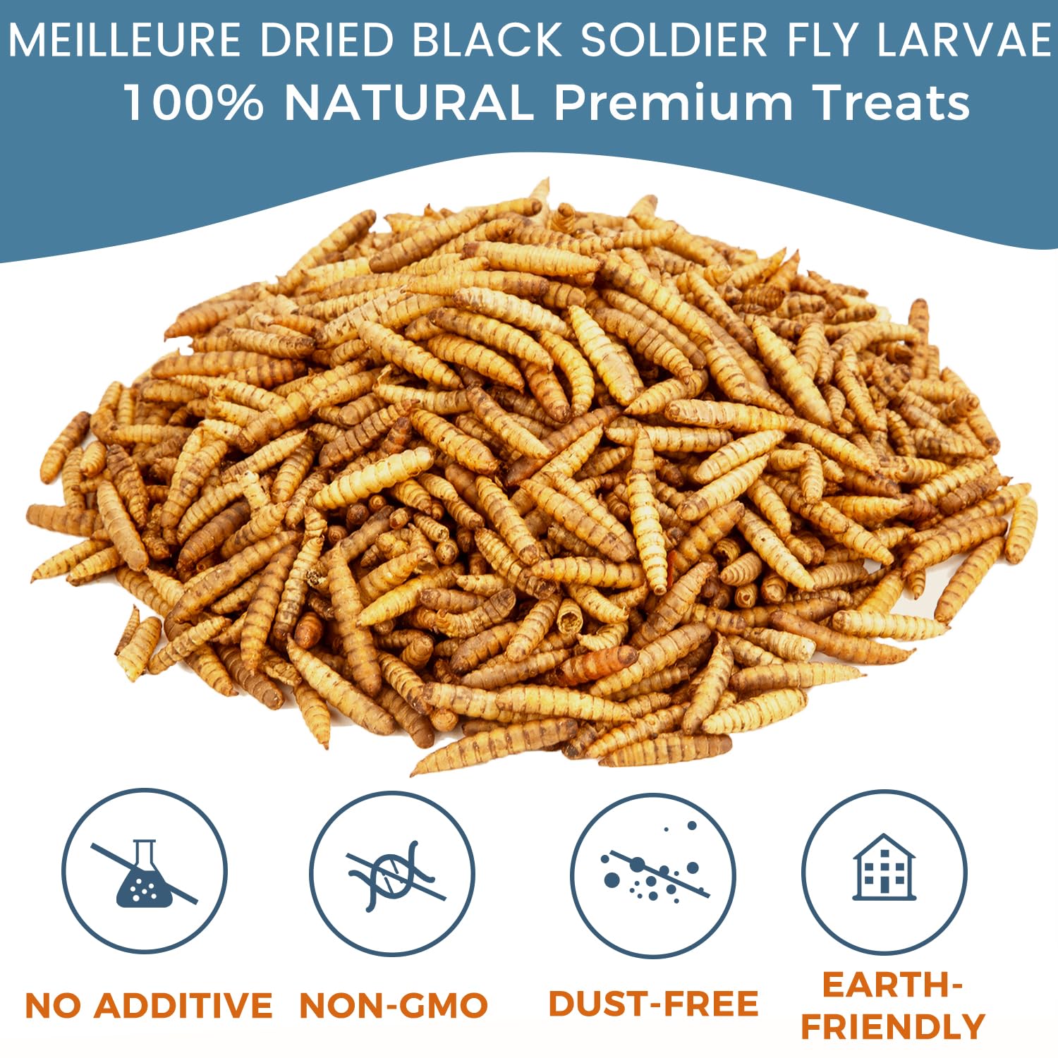 Mua 10lbs Dried Black Soldier Fly Larvae for Chickens - High Protein ...