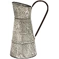 Amazon.com : Deco 79 Metal Galvanized Watering Jug, 10 by 16-Inch,Gray ...