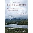 Consolations: The Solace, Nourishment and Underlying Meaning of ...