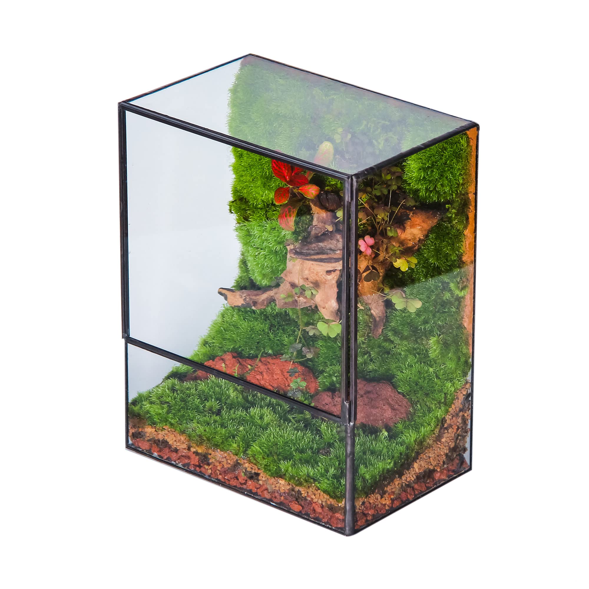 Mua NCYP Close Rectangle Glass Terrarium with Door - 7.8x5.1x9.8 Inches ...