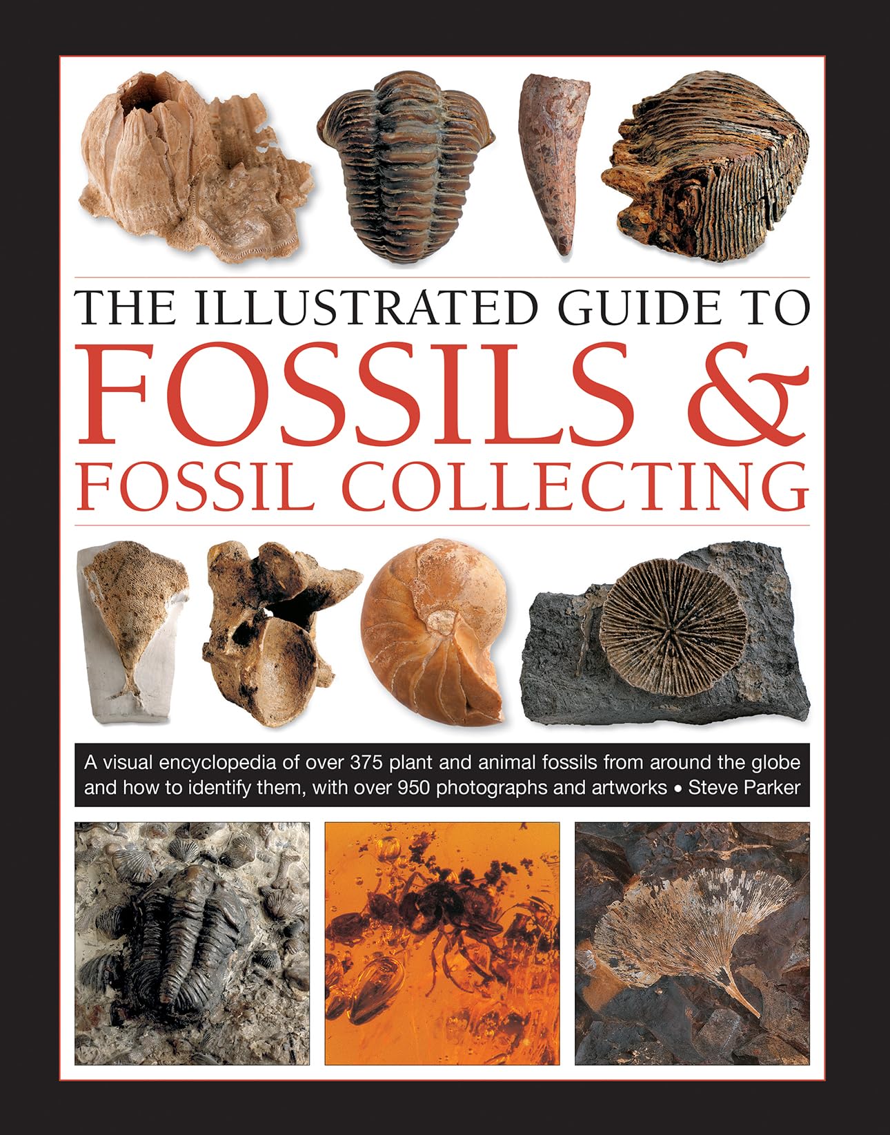 Mua The Illustrated Guide to Fossils & Fossil Collecting: A Reference ...